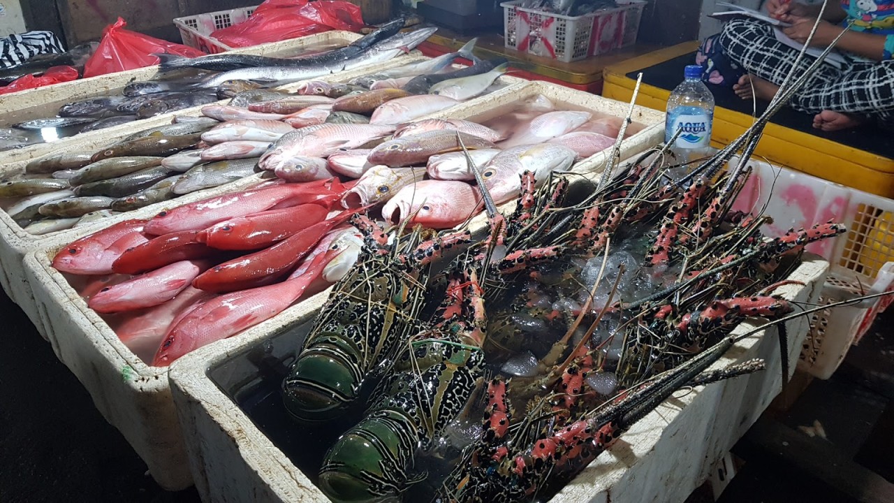 Kedonganan Fish Market Fish Market in Bali