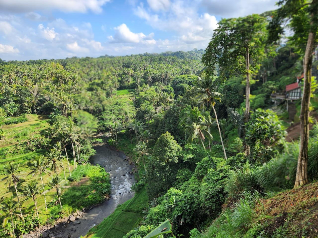 Sayan Point, Restaurant in Bali