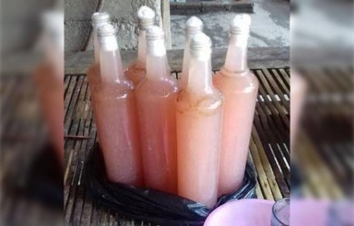 Bali's Traditional Spirit: A Review of Tuak - Bali.live