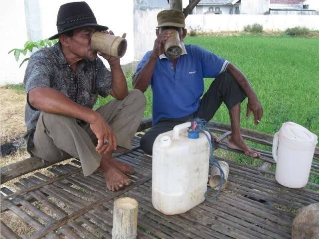 Bali's Traditional Spirit: A Review of Tuak - Bali.live