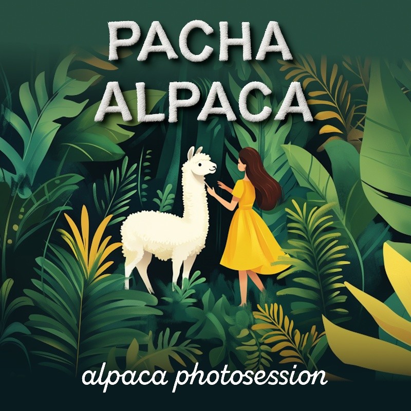 Alpaca Photosession in Bali - description, photos, reviews