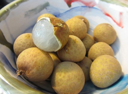 All About Bali’s Fruits - Bali.live