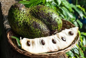 All About Bali’s Fruits - Bali.live