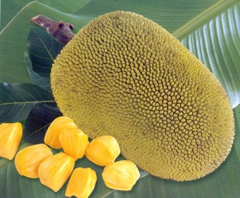 All About Bali’s Fruits - Bali.live